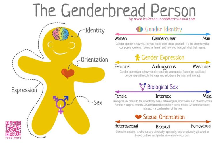 'Genderbread' School Assignment Sparks Debate