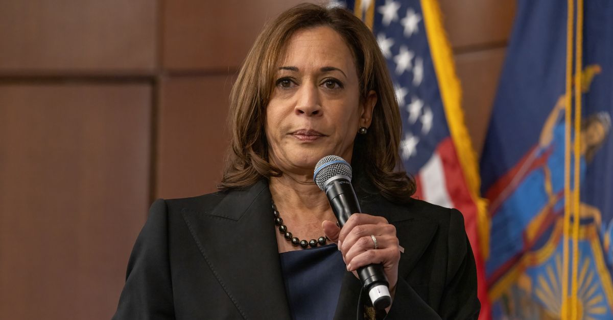 DNC Official Does Not Think Kamala Can Win