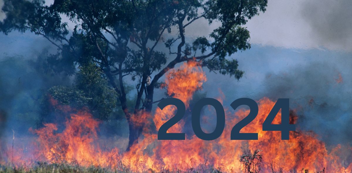 Unprecedented Billion-Dollar Disasters Hit The U.S. In 2024: A Closer ...