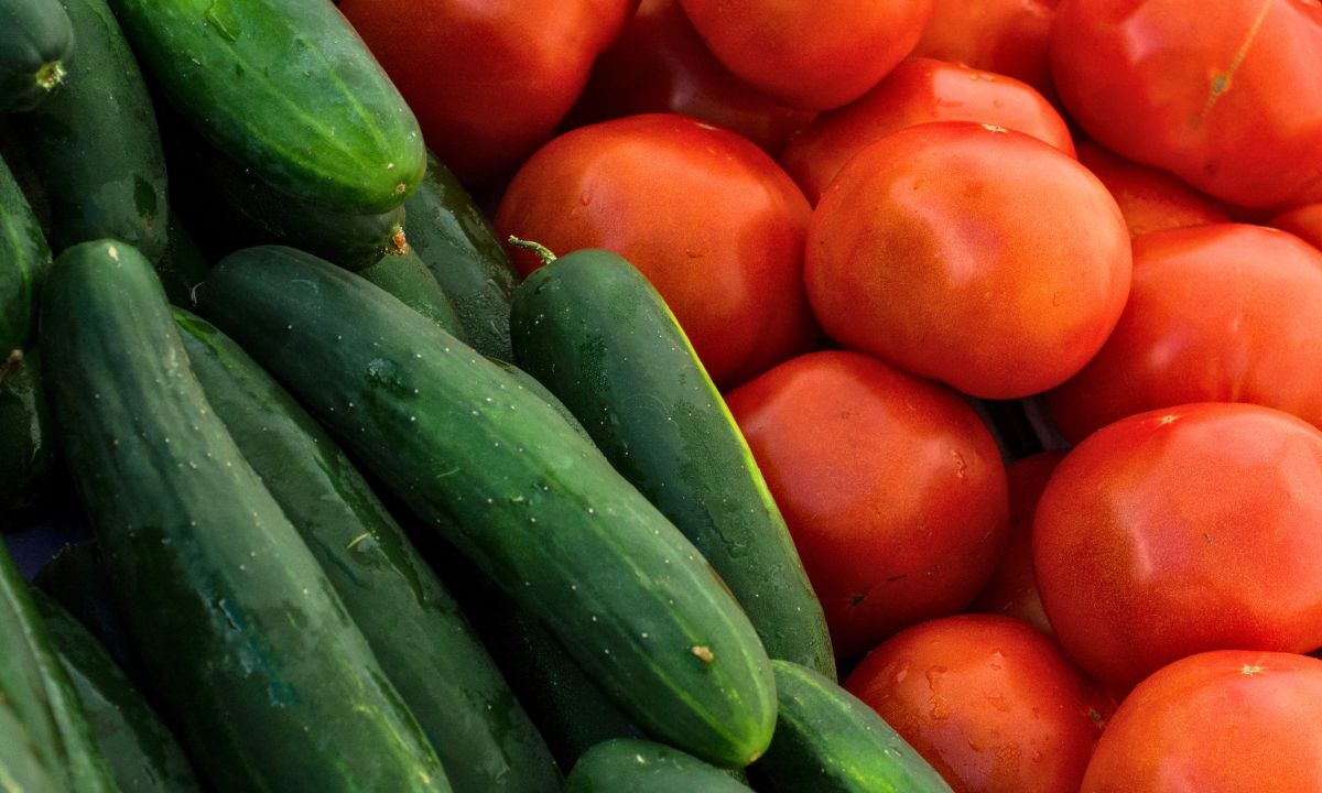 Cucumber And Tomato Recalls Expand In U.S. Amid Salmonella Outbreaks