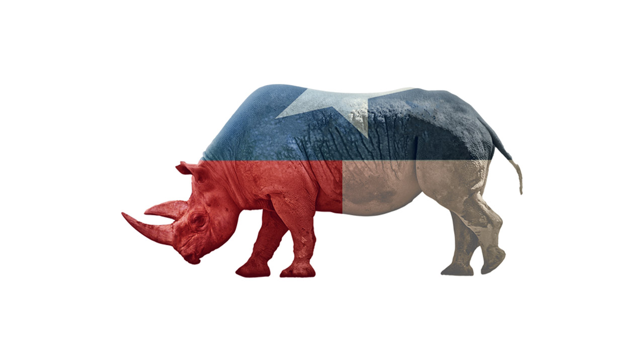 Senator Robert Nichols: Texas' Leading RINO?