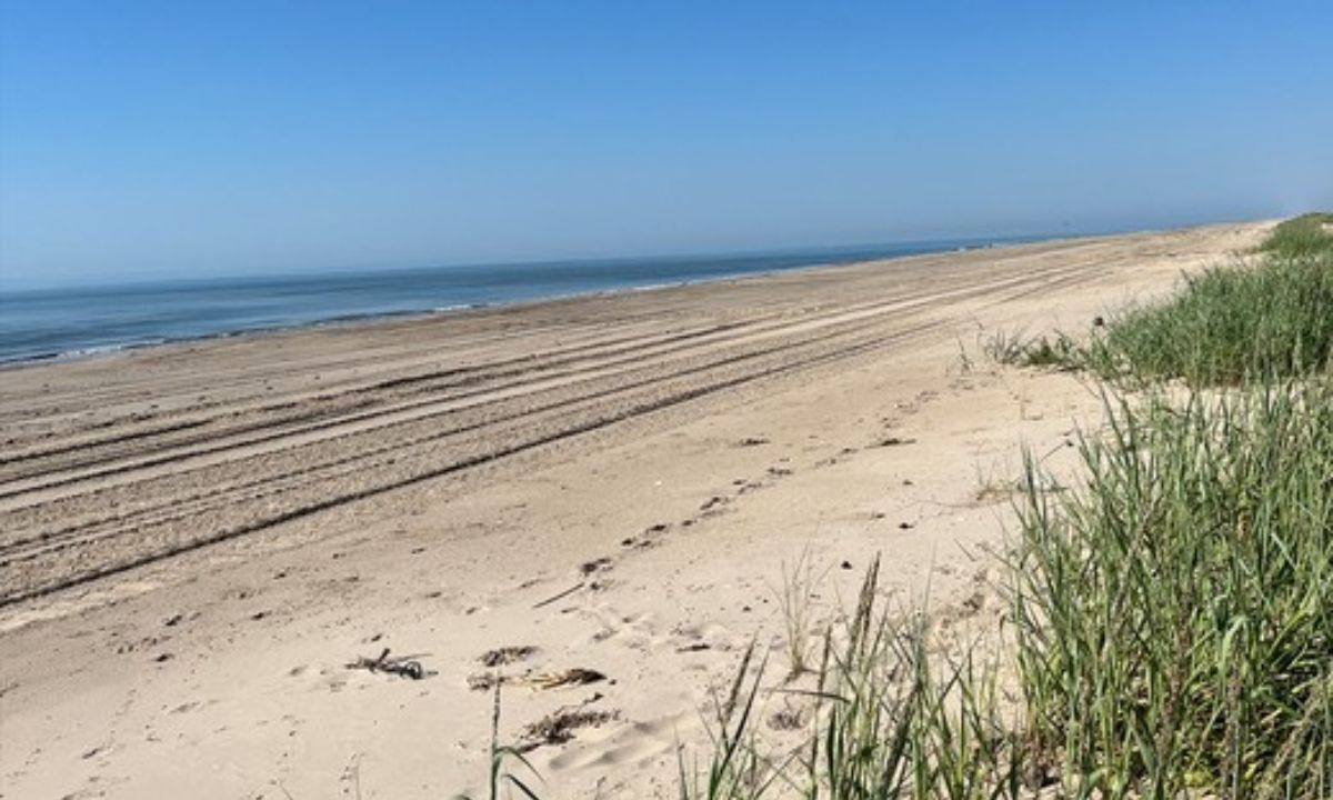 Texas Coastal Restoration Project Wins National Beach Award