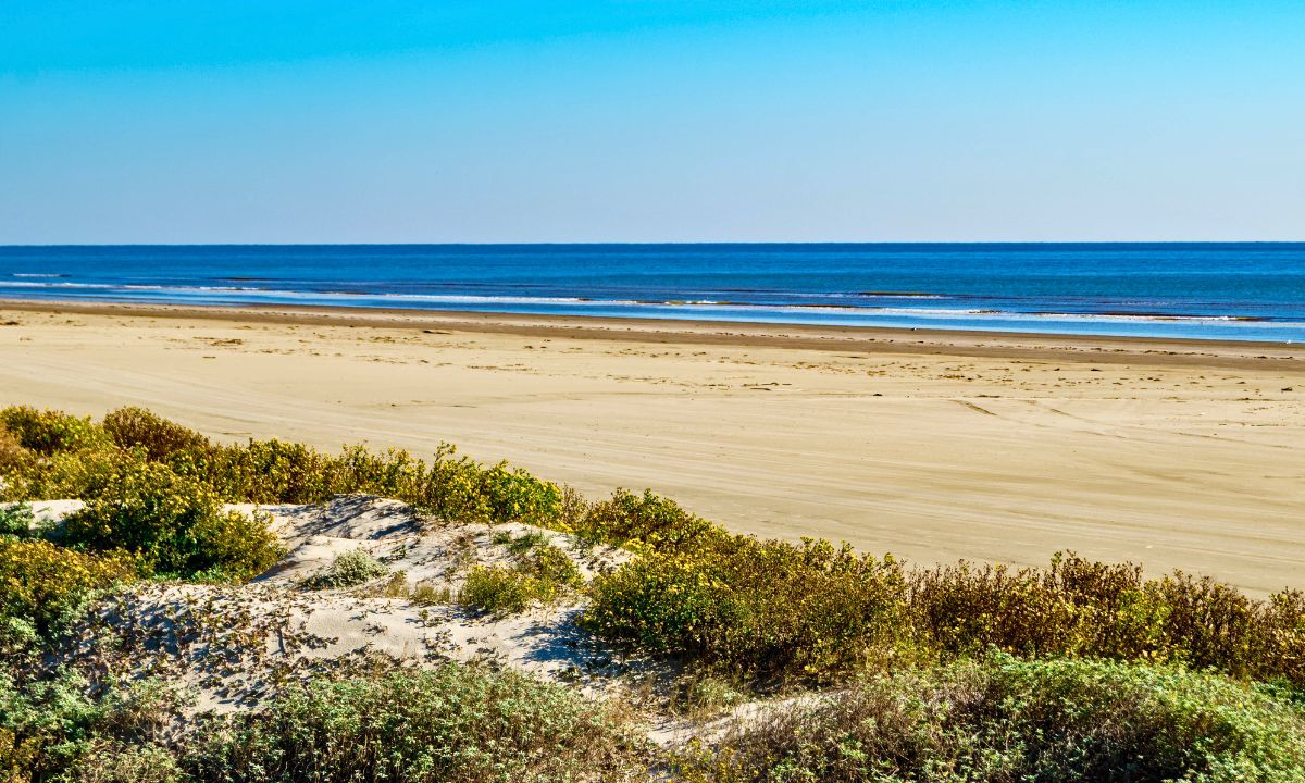 Texas Secures $382K Grant To Boost Beach Water Quality Monitoring