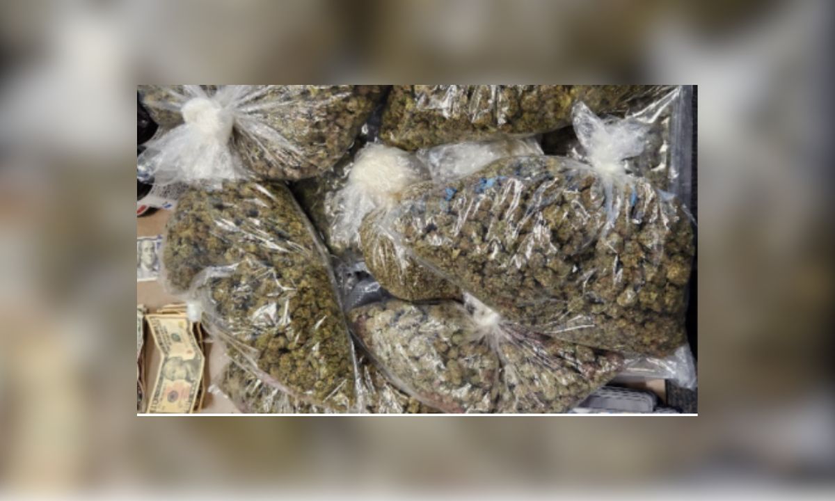 Dallas Drug Operation Yields THC, Adderall, Promethazine, Pistol, And More