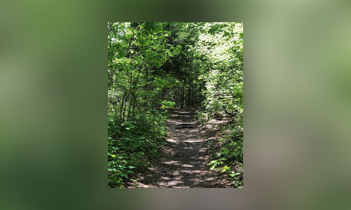 Oops! Garland Water Utilities Crew Takes A Backhoe To Spring Creek ...