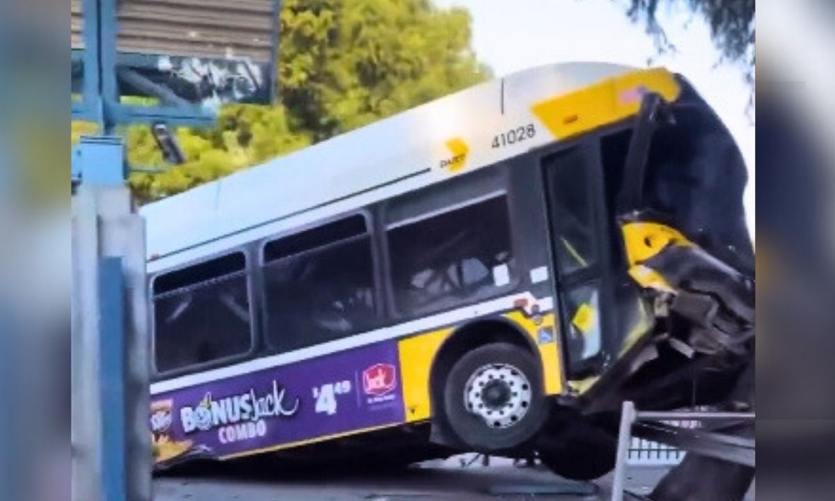 DART Bus Crashes Into White Rock Station, Injures Five In Dallas