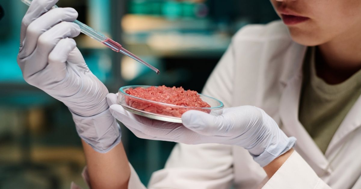Lab-Grown Meat Lawsuit: California Companies Take On Texas
