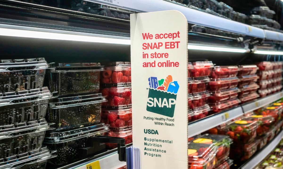 New SNAP Work Rules: Age Raised, Fewer Food Stamp Recipients Projected