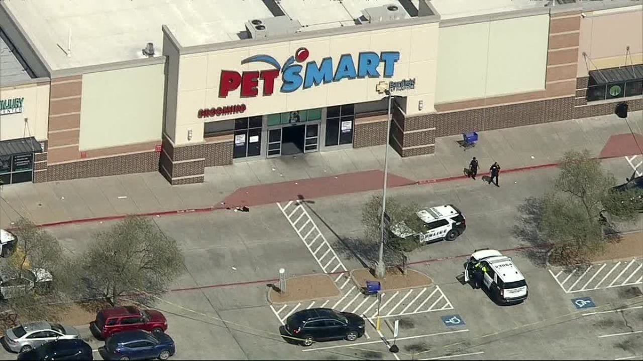 Dallas PetSmart Shooting Leaves Woman Dead Outside Store