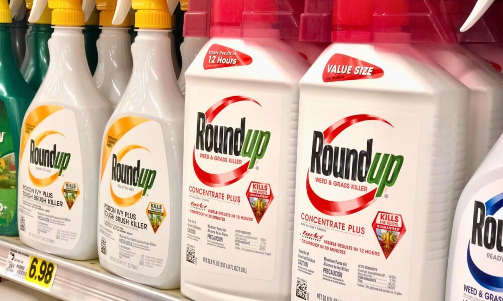 Roundup Harms Male Fertility – CoQ10 Reduces Damage