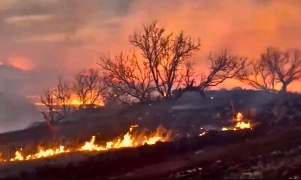 Paxton Holds Xcel Accountable For Largest Wildfire In State History