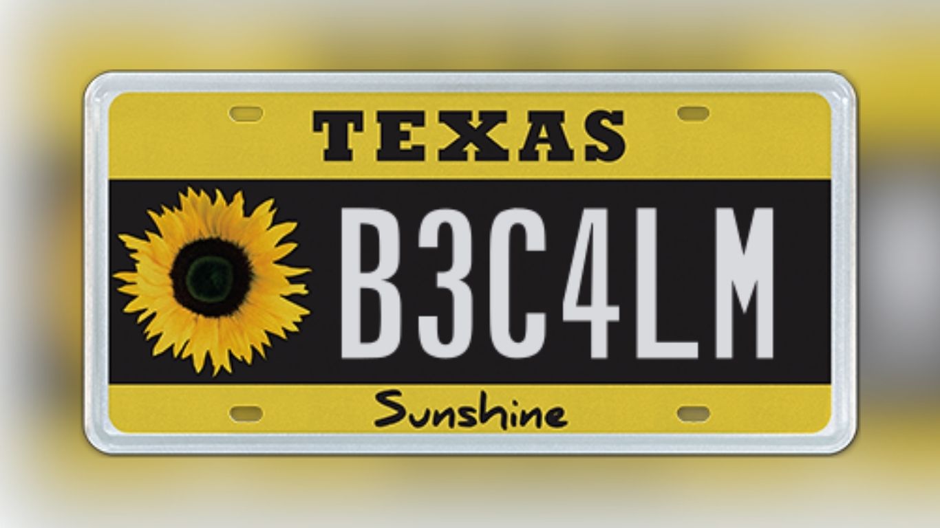 Texas Rejects 1,951 Naughty Plates In 2025